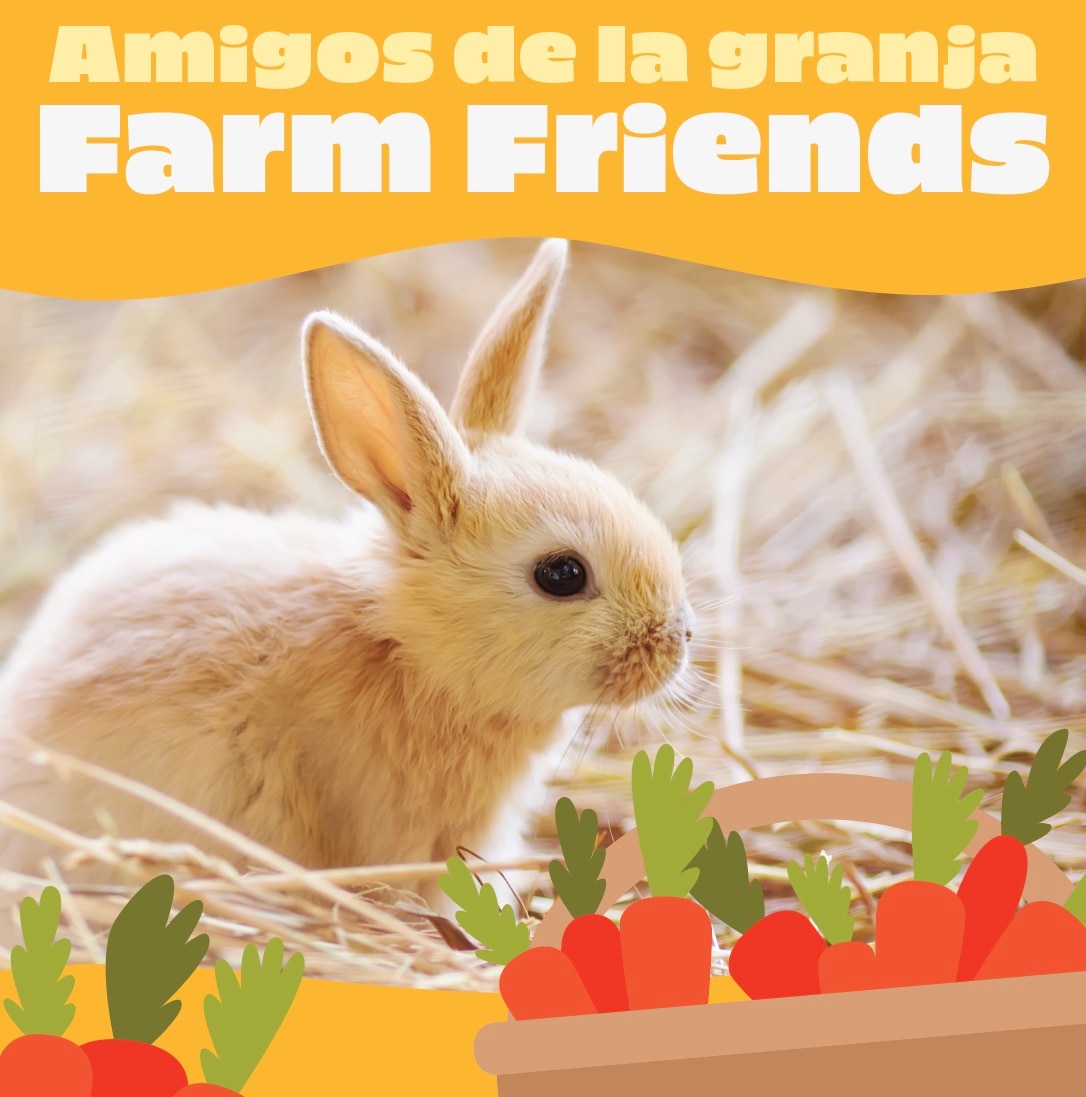 Farm Friends / Amigos de la granja (Spanish-English Bilingual)