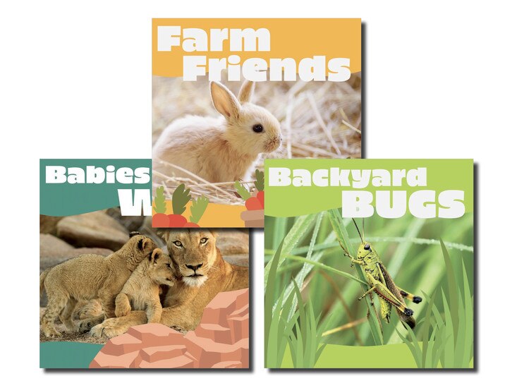Animals in Action Collection (5 copies of 3 titles)